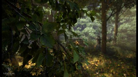 Kumar Sayan Barui Forest Environment