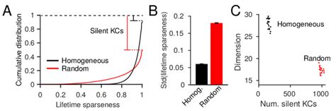 Inter Kc Variability Increases Variability Of Lifetime Sparseness And