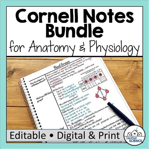 Basic Anatomy And Physiology Notes