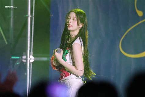 누나 연예인잡담 에펨코리아