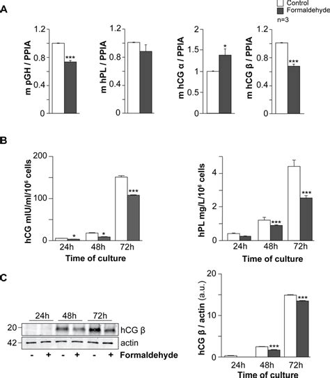Effect Of Formaldehyde Exposure On Hormonal Functions Of Human Download Scientific Diagram