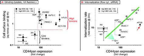 Correlation Log Log Plots Between The Expression Of Total Download Scientific Diagram