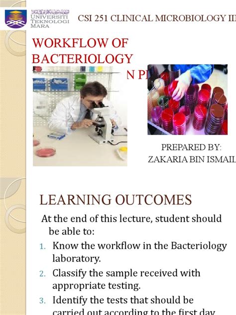 Workflow Of Bacteriology Identification Process Csi 251 Clinical Microbiology Iii Pdf