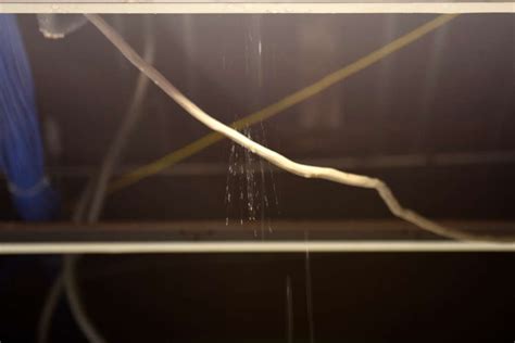Roof Leaks In Commercial Buildings Causes And Solutions Watertight