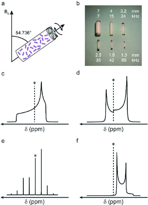 A Schematic Showing The Mas Rotor Oriented At The Magic Angle With