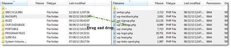 How To Backup Wordpress Database And Files Step By Step