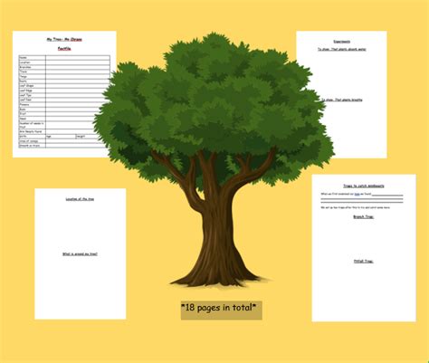 Mash 5th 6th Class Tree Project