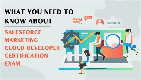 Becoming A Certified Salesforce Marketing Cloud Developer All The Information You Need Learn