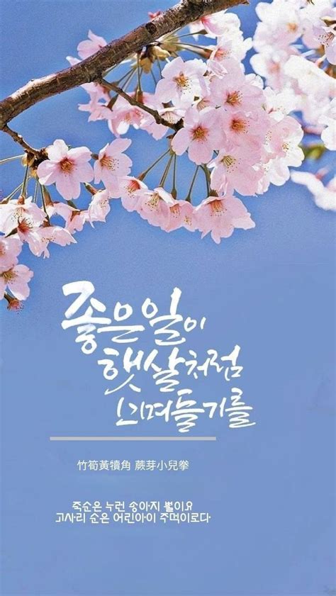 휘파람에 있는 파람 Lee님의 핀 2024 손글씨 해바라기 예술 초보 그림 그리기