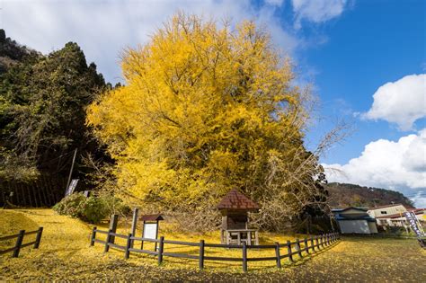 行合崎海岸スポット体験公式青森県観光情報サイト Amazing AOMORI