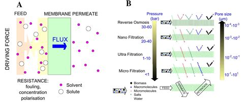 A Basic Scheme Of A Membrane Filtration Process And B