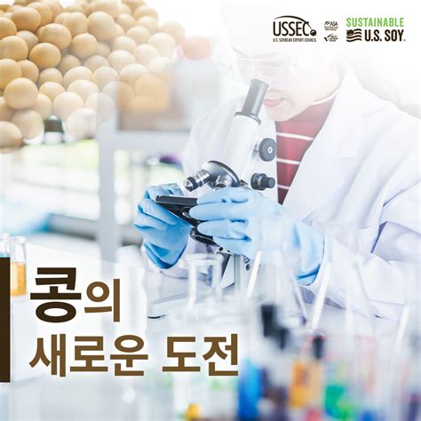 미국대두협회 ‘콩하면 어떤 색이 먼저 떠오르시나요 콩은 우리가 흔히 생각하는 노란색을 비롯해