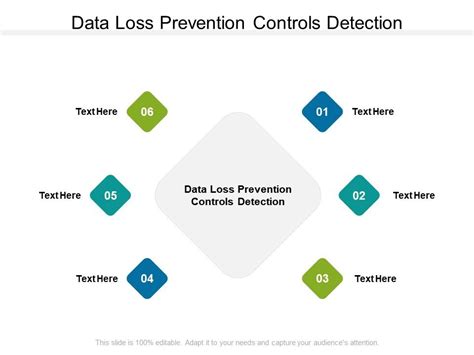 Data Loss Prevention Controls Detection Ppt Powerpoint Presentation
