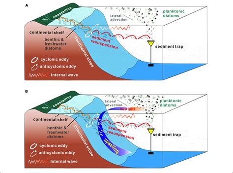 Schematic Diagrams Of The Sources And Transport Of Resuspended