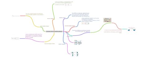 Enzymatic Control Of Metabolic Pathways Coggle Diagram