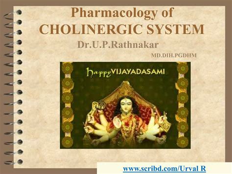 Cholinergic System Class I Ppt