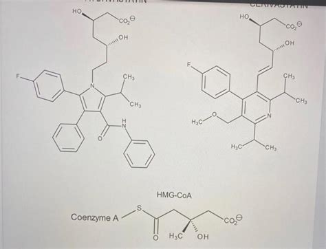 Solved Identify The Common Structural Features Of The Statin