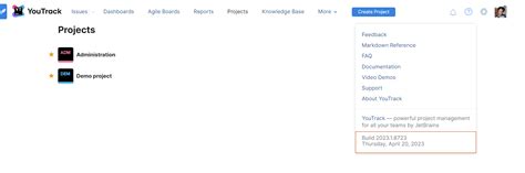 Upgrade With Docker Container Youtrack Server Documentation