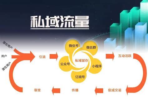 掌握这四种私域运营模式，助力提升私域裂变，有效提高变现能力
