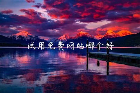 试用免费网站哪个好 贝淘网