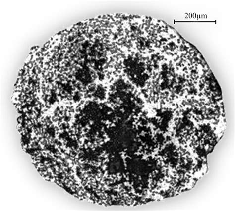 Effect Of The Infiltration Pressure On The Porosity Download