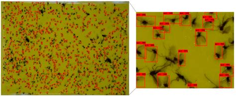Agriculture Free Full Text A Systematic Review On Automatic Insect