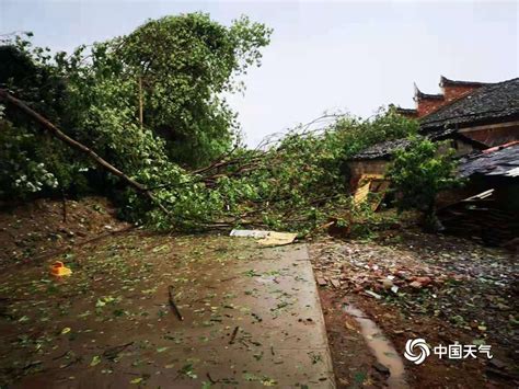 江西多地遭遇强对流天气 雷电暴雨冰雹大风齐袭 图片频道