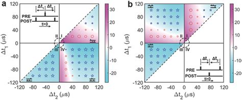 Triplet‐stdp A Case Of “12” One Prespike And Two Postspikes B