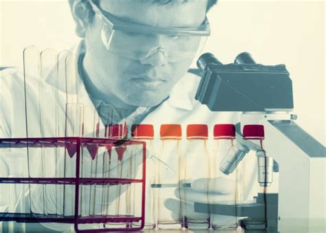 Interdisciplinary Research An Ultimate Guide With Examples By