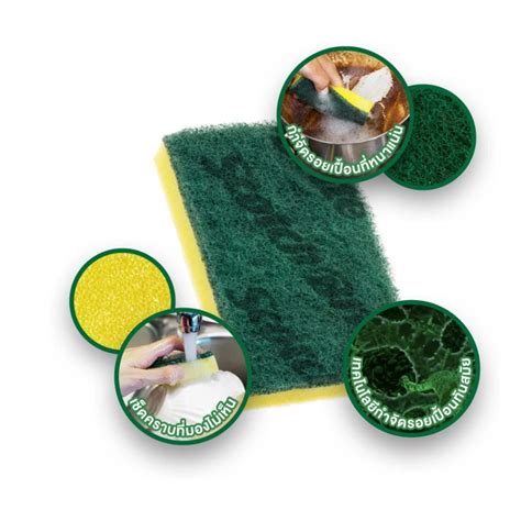 สก๊อตซ์ไบรต์ ฟองน้ำล้างจาน พร้อมใยขัด 3m Scotch Brite แพ็ค 6 ชิ้น Shopee Thailand