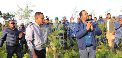 የኢትዮጵያ ፌደራል ፖሊስ አመራርና አባላት በአንድ ጀምበር የአረንጓዴ አሻራ መርሃ ግብር አሻራቸውን አኖሩ ኢዜአ አማርኛ Ena