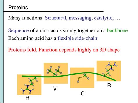 ppt the side chain positioning problem powerpoint presentation free