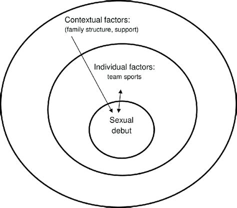 Conceptual Framework Post Analysis Exploratory Model Of Factors