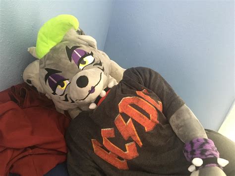 Your Subreddit For Plushophilia