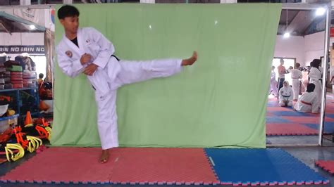 Taekwondo Pose Keypoint Detection Dataset And Pre Trained Model By