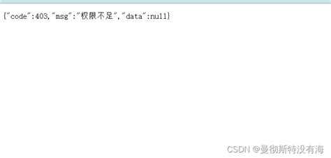 Springboot整合shiro和redis（超详细案例演示）shiro Redis Csdn博客