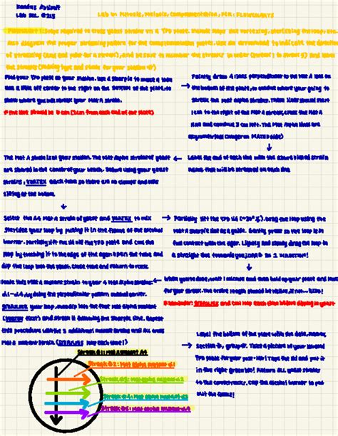 Lab 6 Flowcharts Lab Assessment Kunduz Ab Limit Lab Sec 213 Lab 6