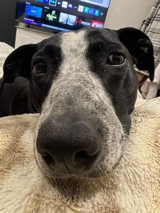 Lola Knight Lola Rknight Lolaknight Nude Onlyfans Photo Nudostar Tv