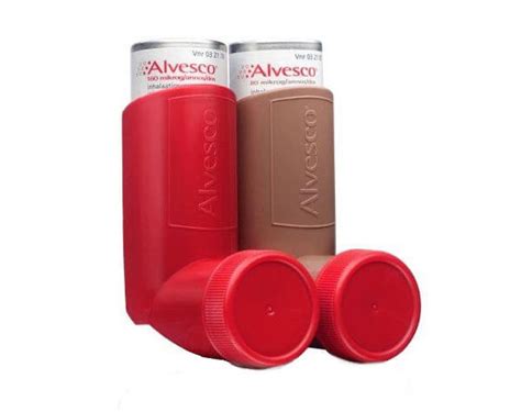Alvesco® Fairview Physician Associates Network
