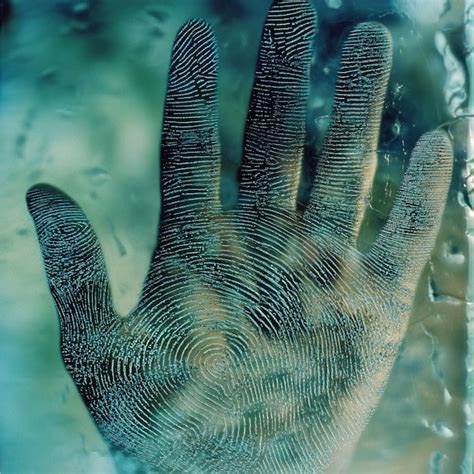 Palm Print Recognition Images Free Download On Freepik