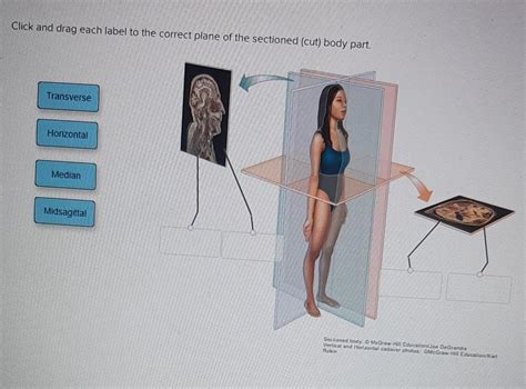 Solved Click And Drag Each Label To The Correct Plane Of The Chegg Com