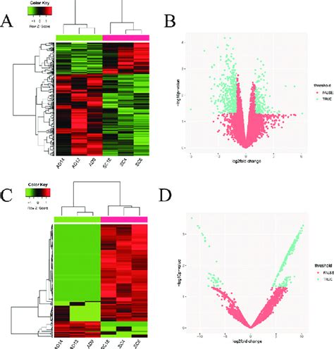 Heatmaps And Volcano Plots Of Demirnas Differentially Expressed Mrnas