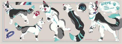 Rule 34 Absurd Res Animal Genitalia Animal Pussy Border Collie Canid