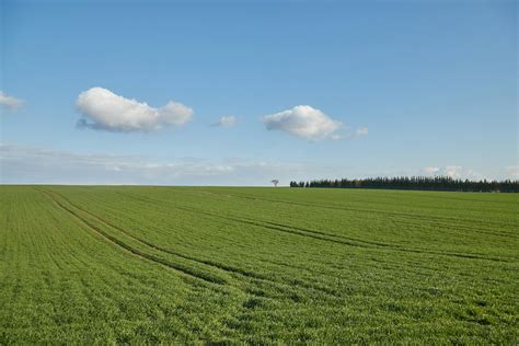 Arboles 검정과 녹색 경치 경치가 좋은 고요한 구름 그린 랜드 끝없는 녹색 끝없는녹색 나무 녹색 풍경 녹지 놀라운 농경지 농업 농지 농촌의