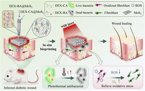 In Situ 3d Bioprinting Mos2 Accelerated Gelling Hydrogel Scaffold For