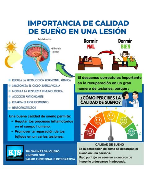 Esquema De Calidad De Sueño Pdf