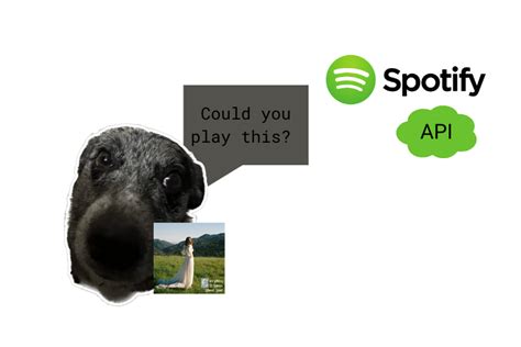 Oauth Authorization Code Flow With Spotify By Alejandro Padilla Flores Medium