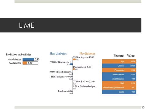 explainability methods ppt