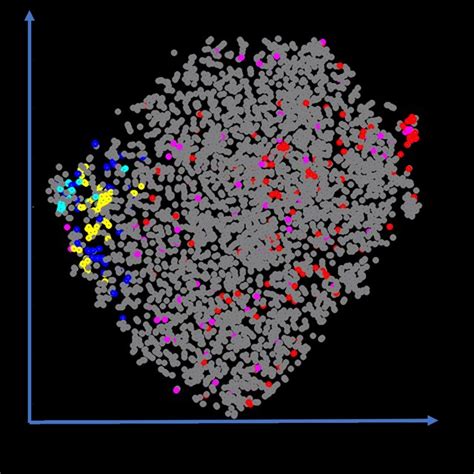 The T Sne Visualization On Protocnn Outputs Gray Indicates 3755