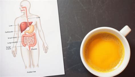 სუპერ ეფექტური ცხიმების დასაწვავი სასმელი დღეში მინუს 1სმ წელზე